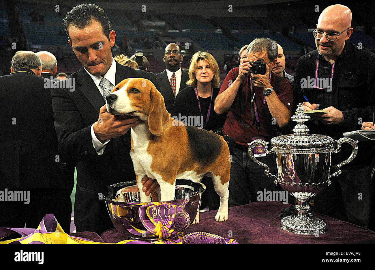 Beagle wins Best In Show at 132nd Westminster Kennel Club Annual Dog ...