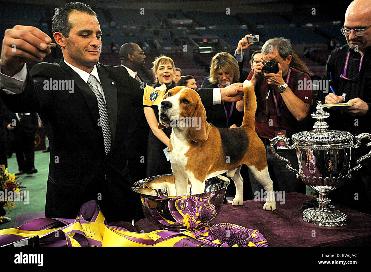 Beagle wins Best In Show at 132nd Westminster Kennel Club Annual Dog ...