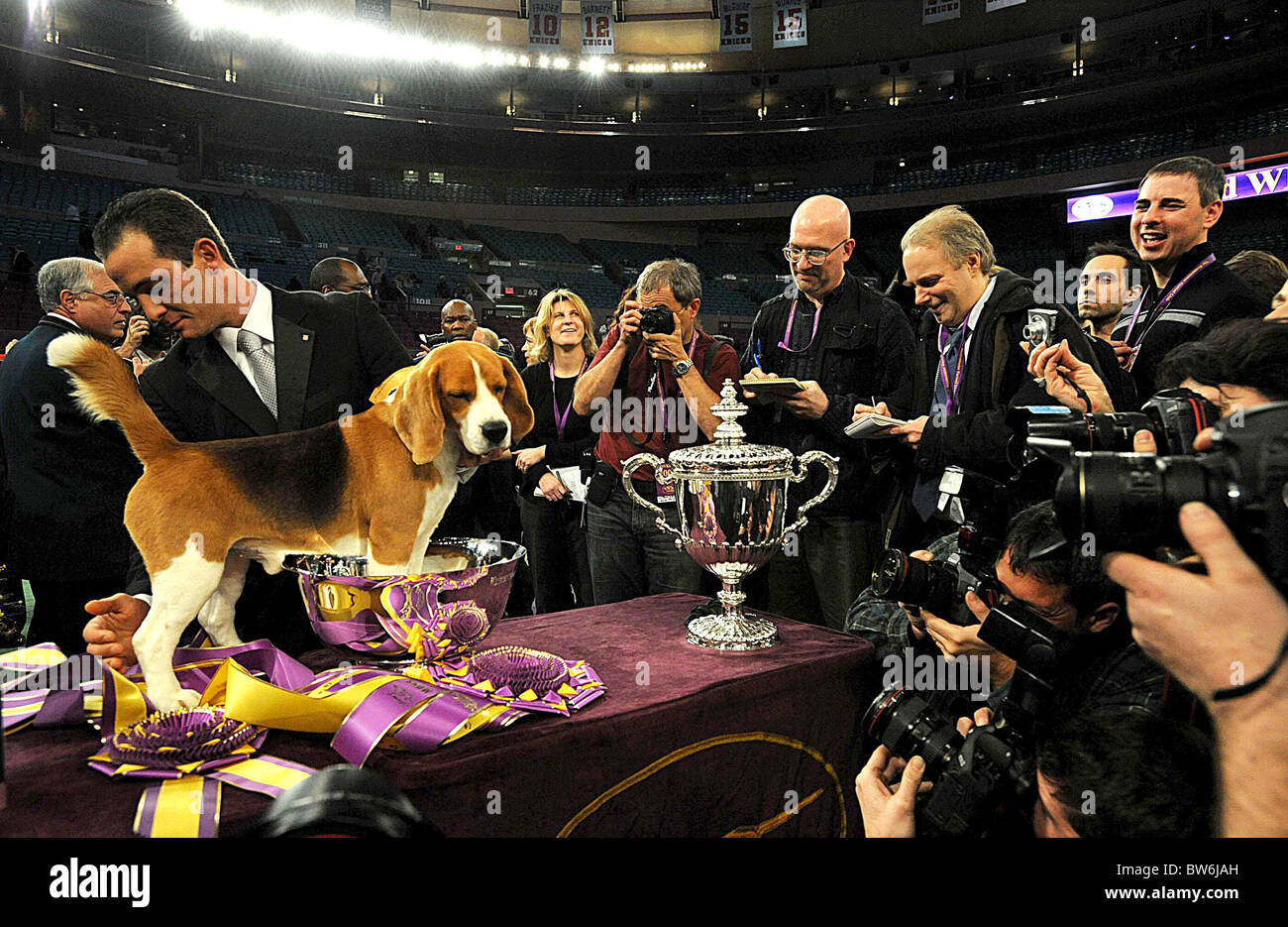 Beagle wins Best In Show at 132nd Westminster Kennel Club Annual Dog ...