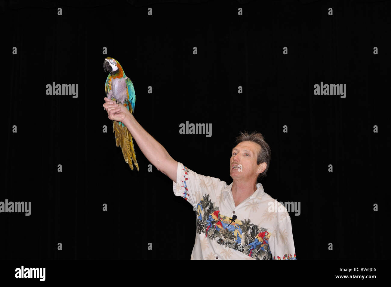 Animal show with trained macaw parrot Stock Photo - Alamy