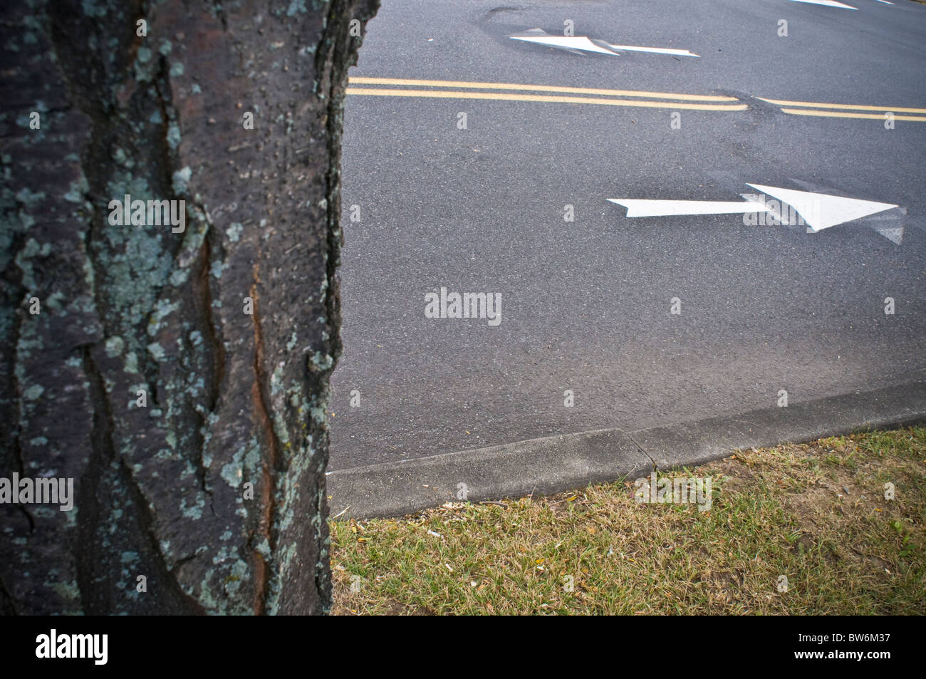 Directional arrows at street intersection Stock Photo - Alamy