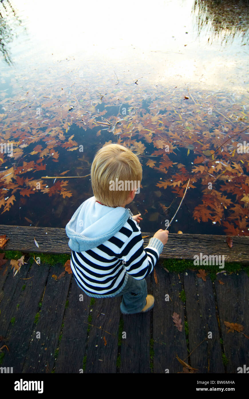 A boy playing in the forest autumn Stock Photo - Alamy