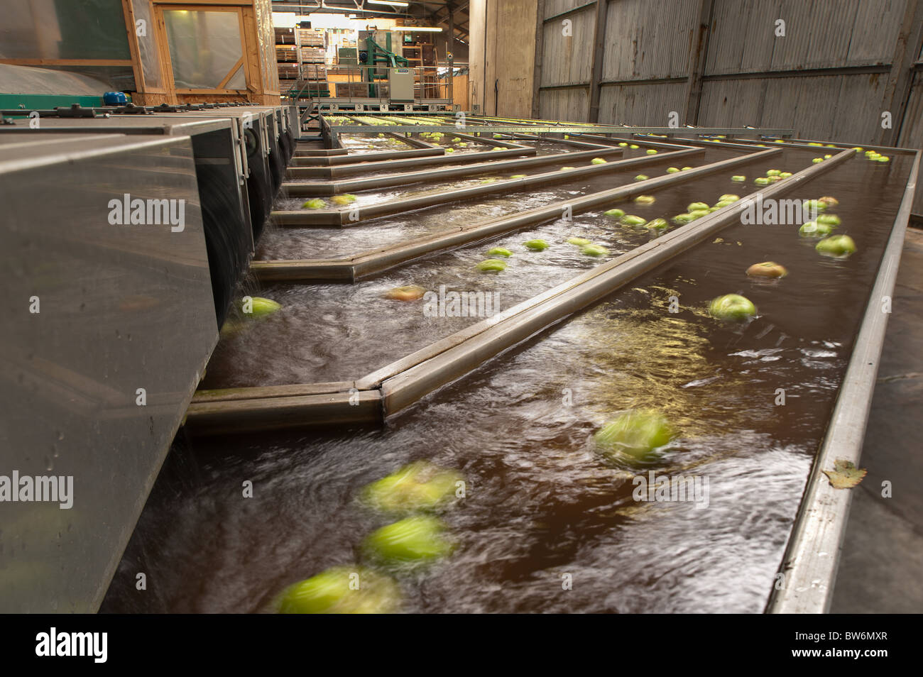 Edible Insect Farm Stock Photos & Edible Insect Farm Stock Images - Alamy