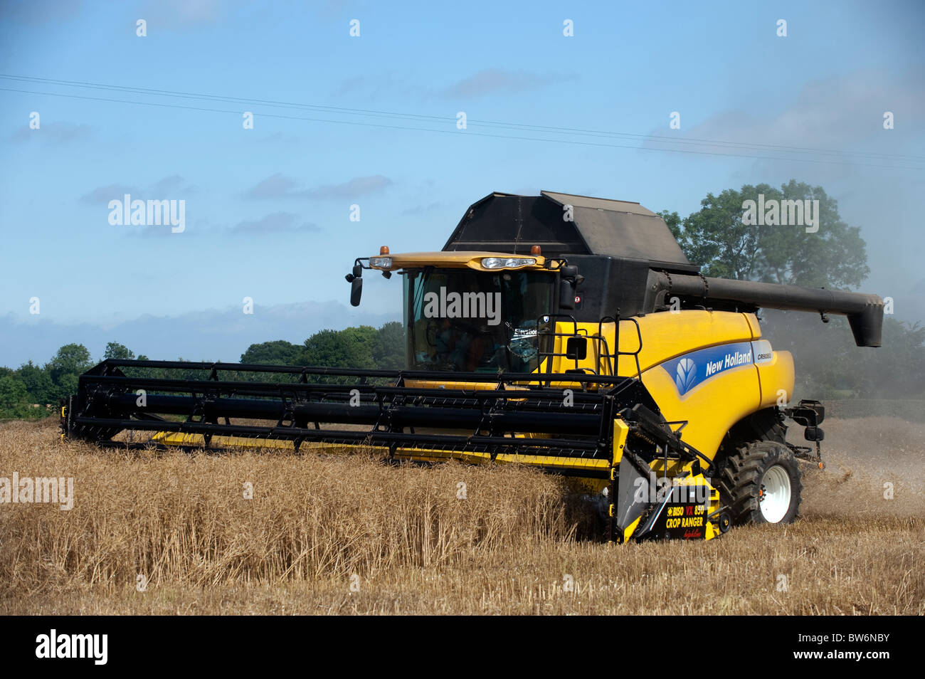 New Holland combine harvesting Oilseed Rape or Canola crop Stock Photo ...