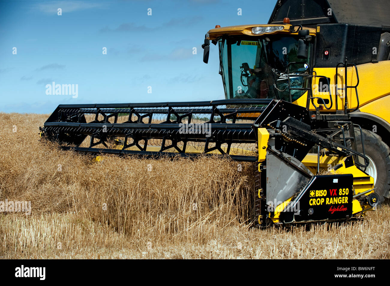 New Holland combine harvesting Oilseed Rape or Canola crop Stock Photo ...