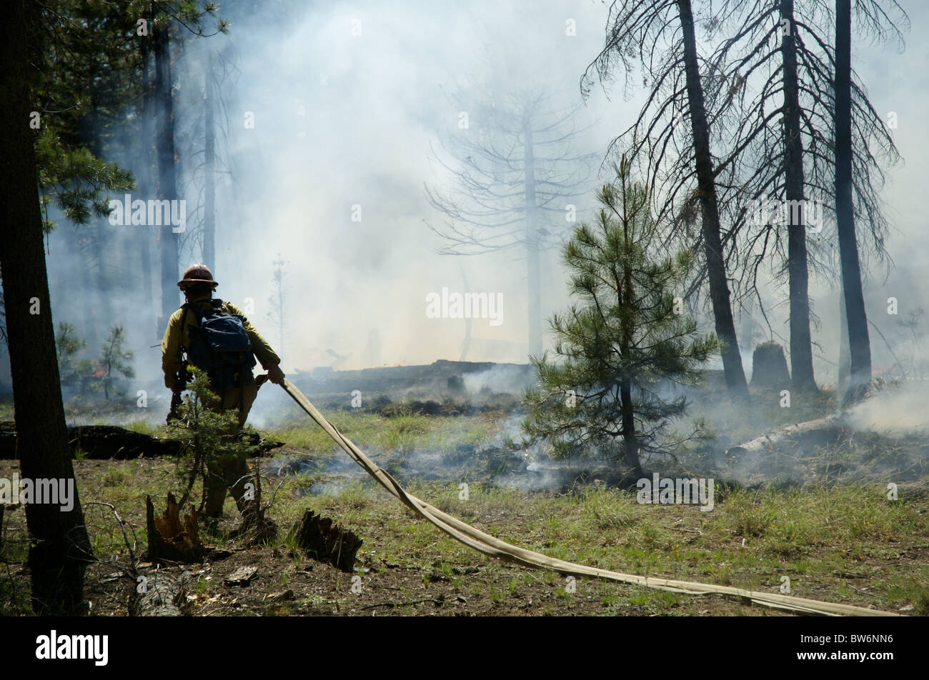 A US Forestry firefighter heads into the smoke Stock Photo - Alamy