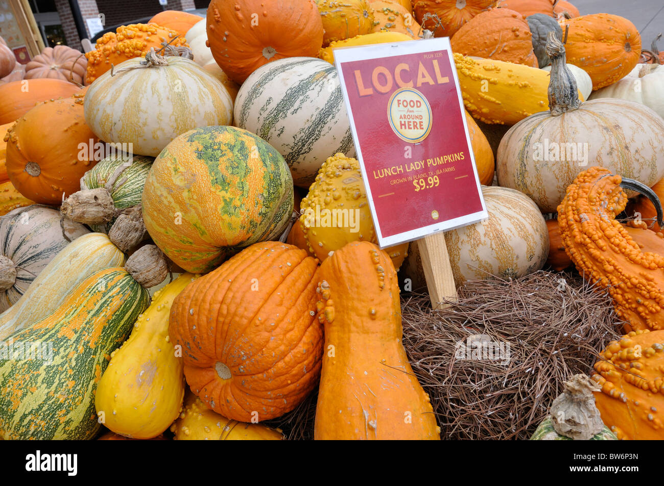 Locally grown pumpkins on sale at Whole Foods supermarket in Plano ...