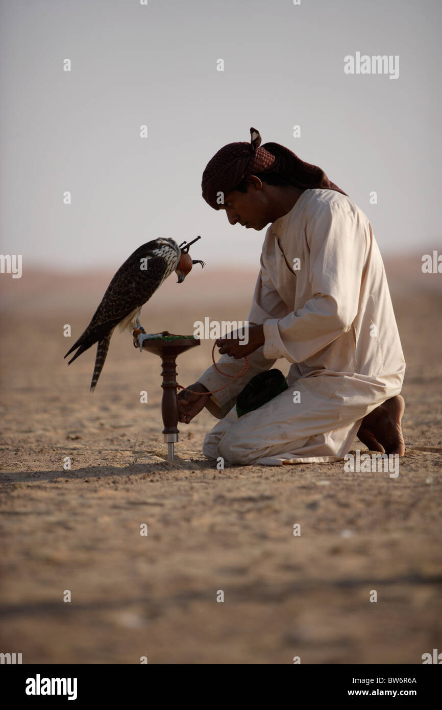 An Emirati falconer prepares to fly his raptor during a falconry ...
