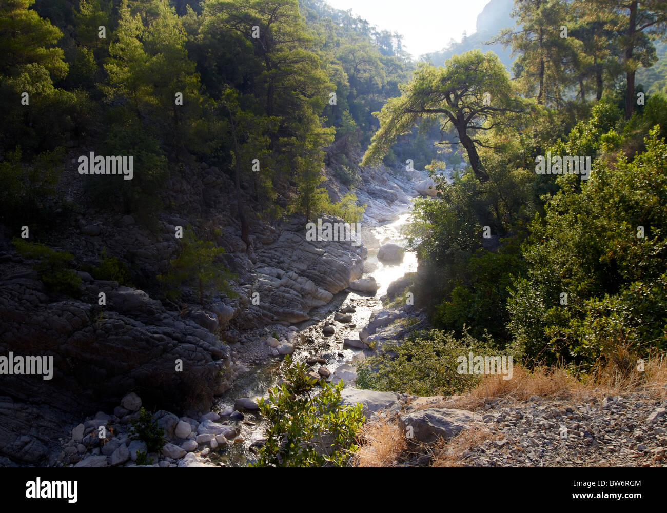 River in the foterst on moutnain rock valley. Goynuk, Turkey Stock ...