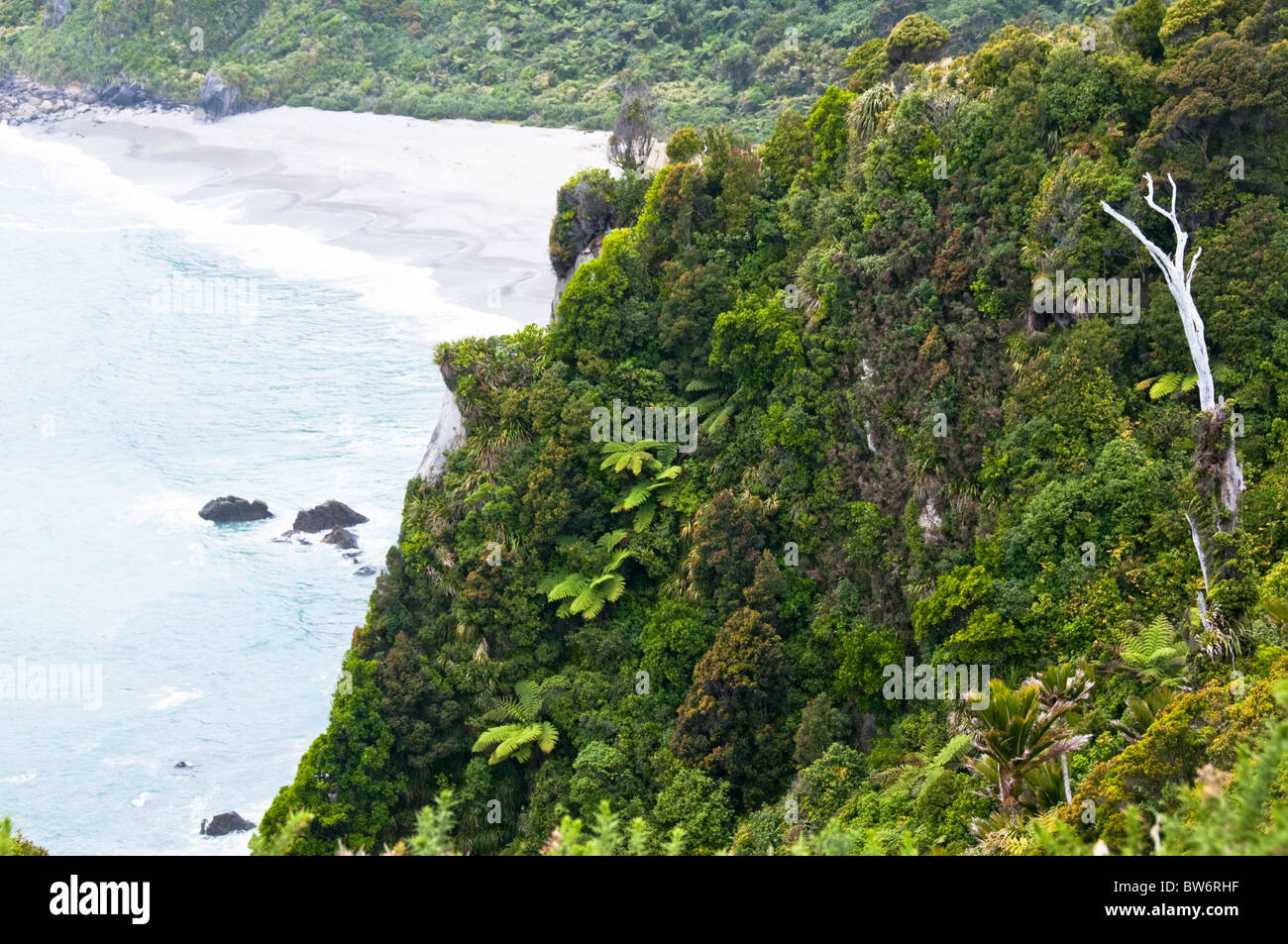 Punakaiki Rocks,Punakaiki National Park ,West Coast Rain Forest, Home ...