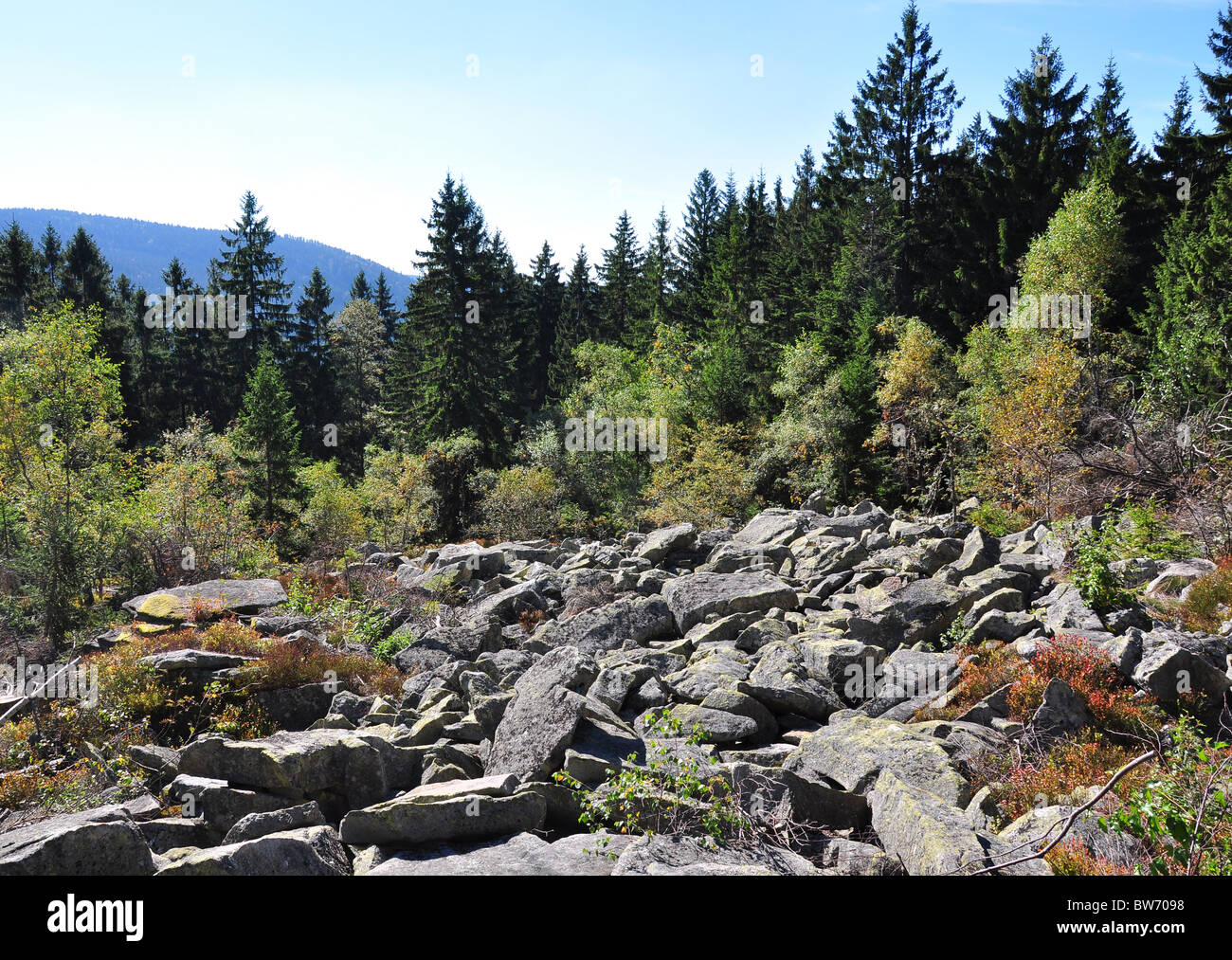 Rock habitat in the Bavarian Forest Stock Photo - Alamy