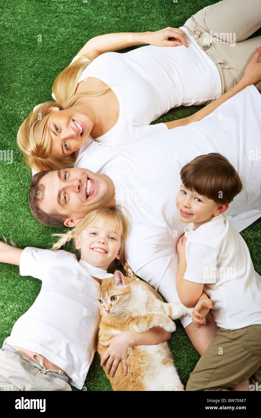Members of the cat family hi-res stock photography and images - Alamy
