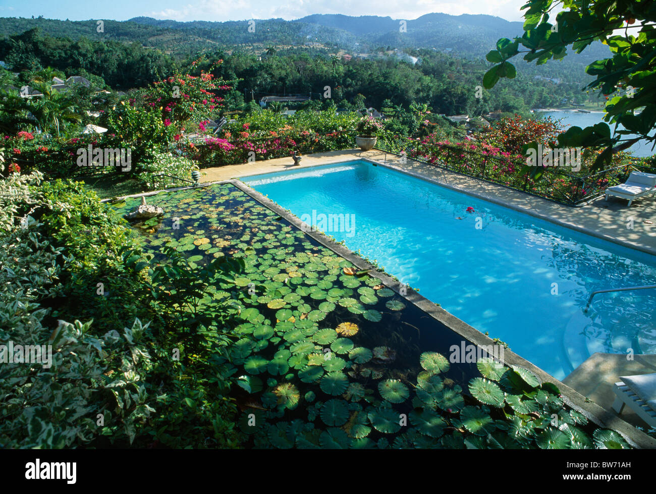 Looking down on rectangular turquoise swimming pool beside rectangular ...