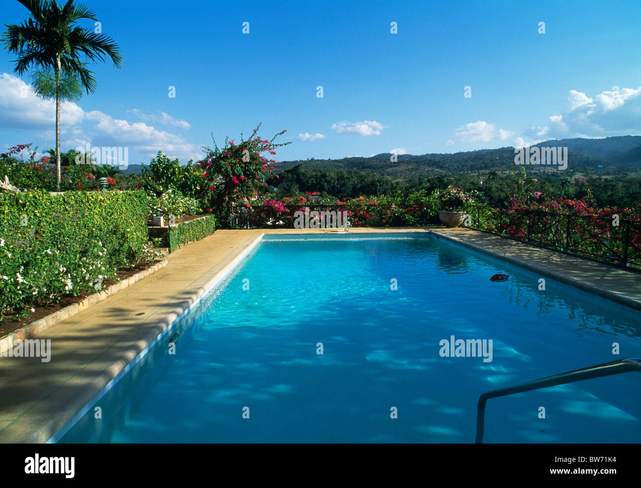 Rectangular turquoise swimming pool in garden in the West Indies Stock ...