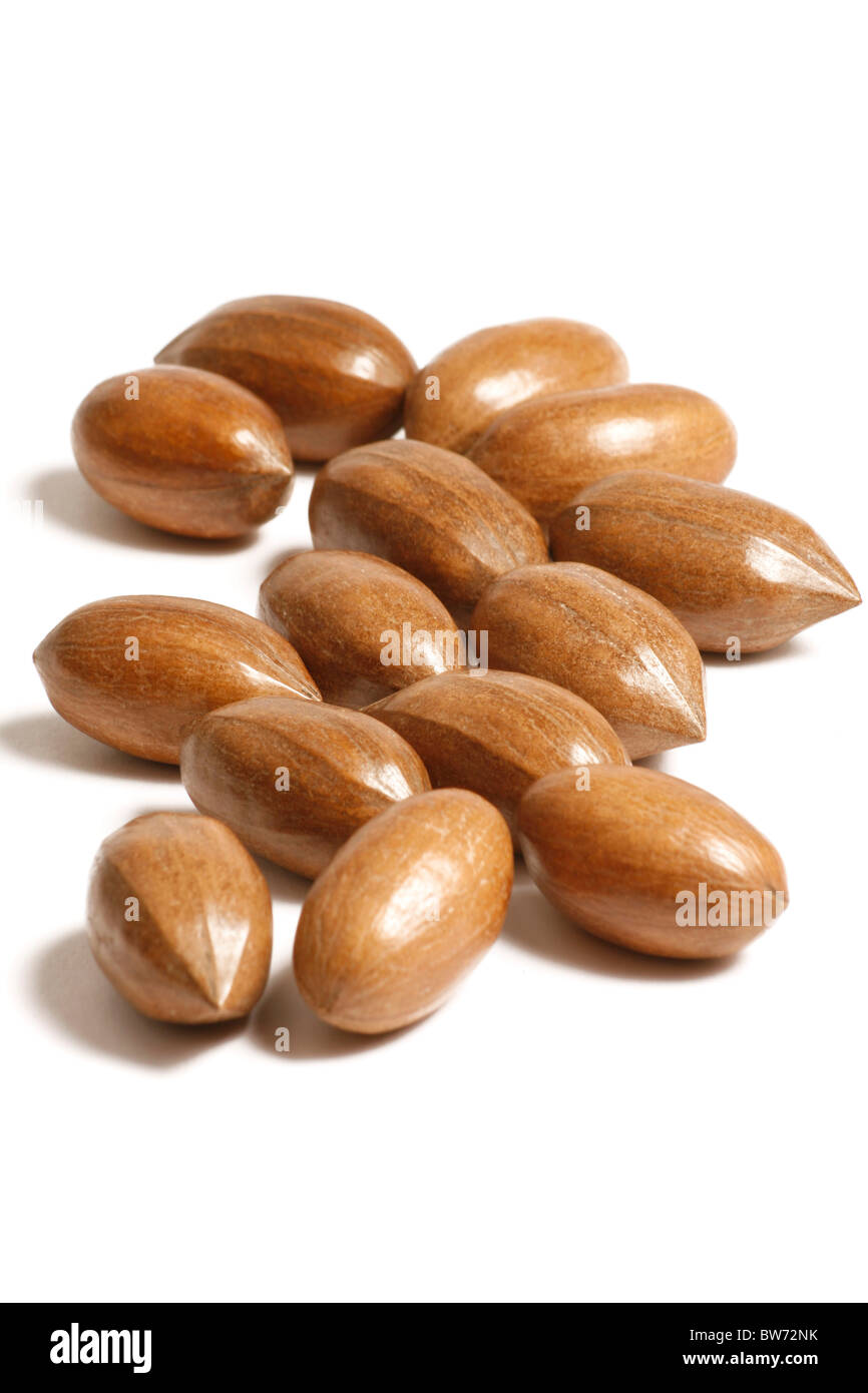 Hickory nuts hi-res stock photography and images - Alamy