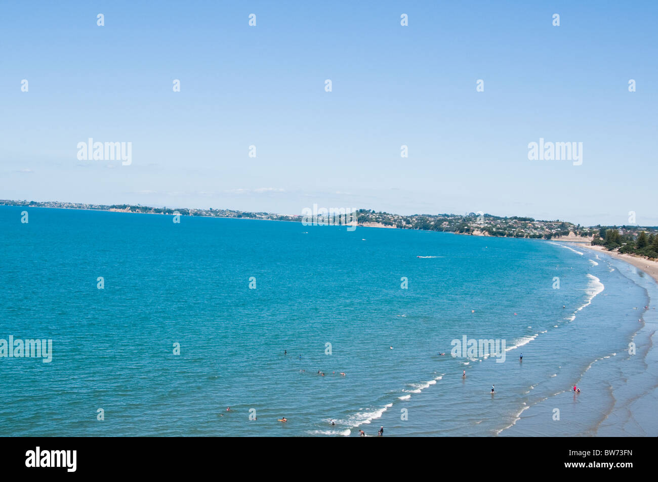 Windswept trees new zealand hi-res stock photography and images - Alamy