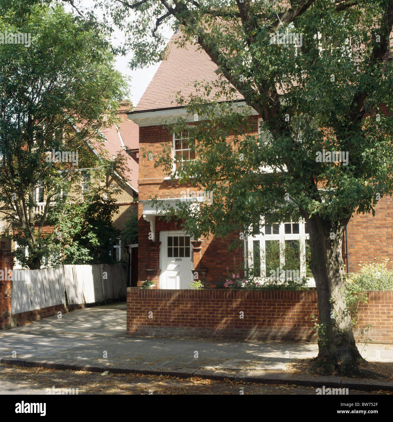 Large tree outside traditional brick-built townhouse Stock Photo - Alamy
