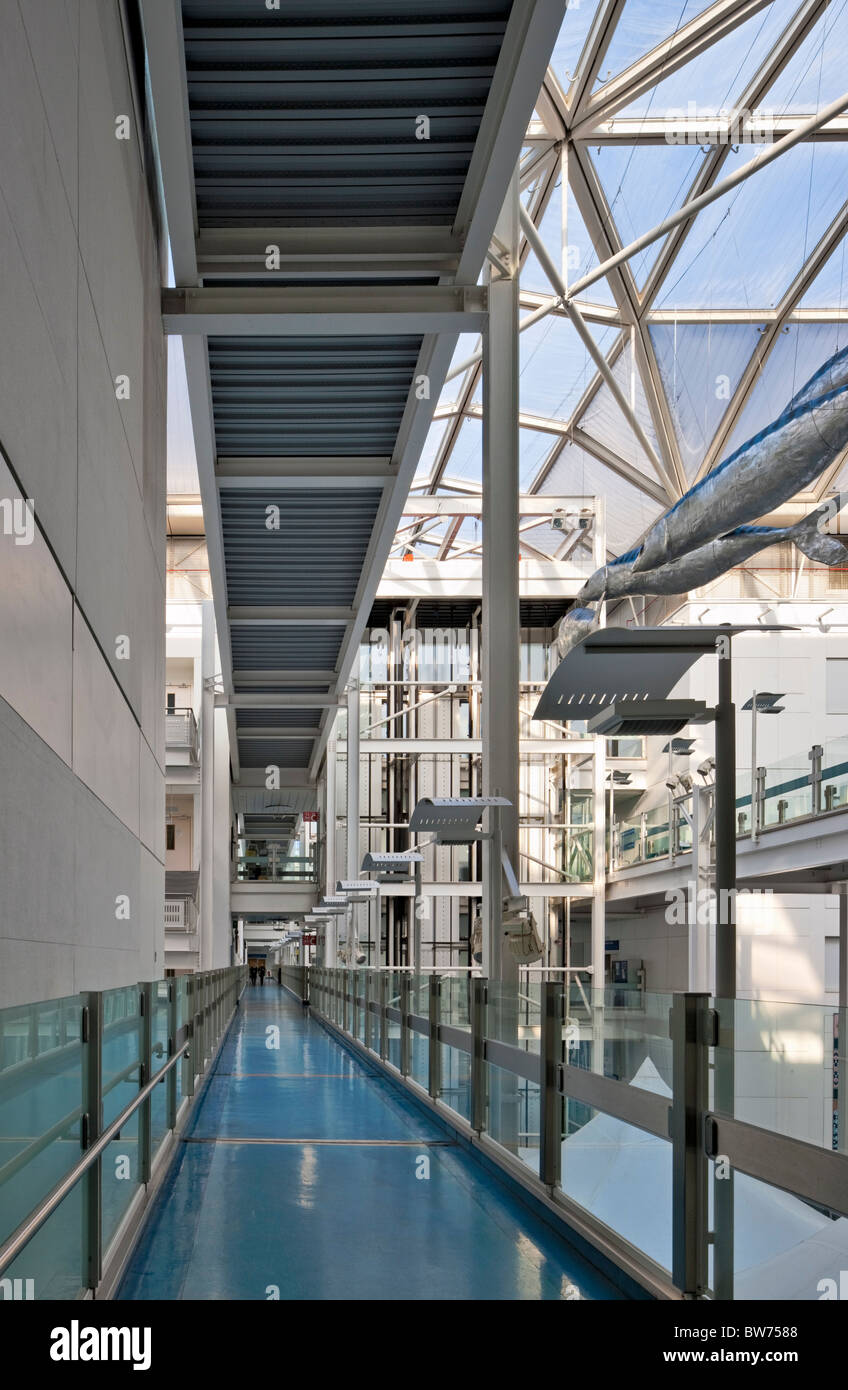 Interior chelsea westminster hospital hi-res stock photography and ...