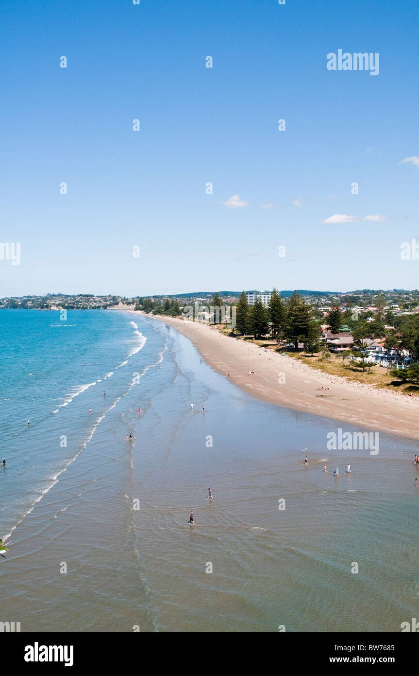 Windswept Trees New Zealand High Resolution Stock Photography and ...