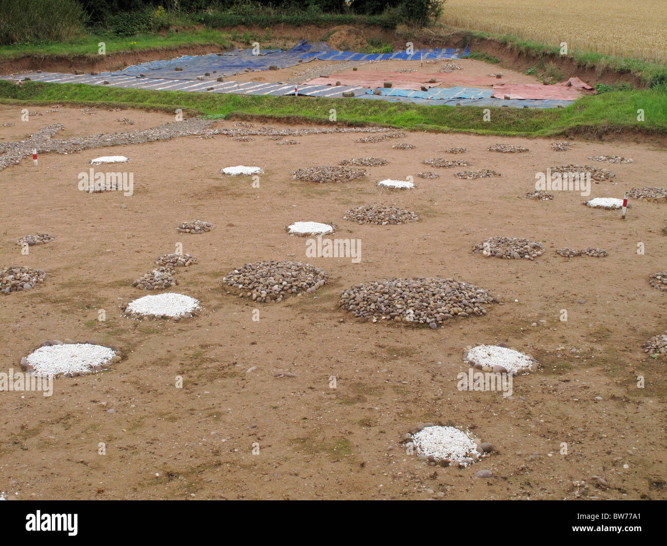 Excavation of Acton Trussell Roman Villa, Acton Trussell, Staffordshire ...