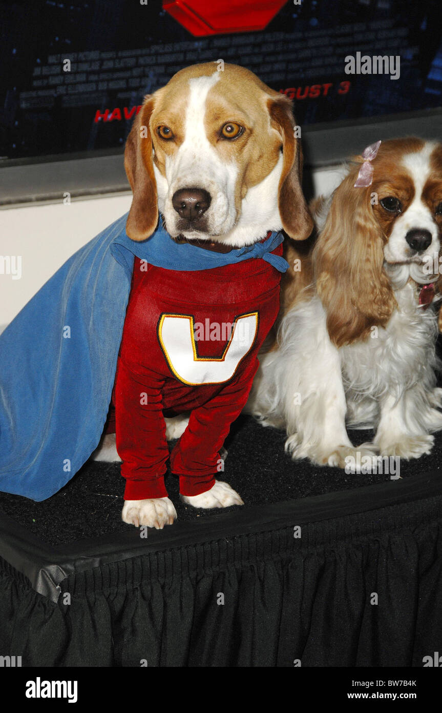 Regal e walk stadium 13 cinema hi-res stock photography and images - Alamy