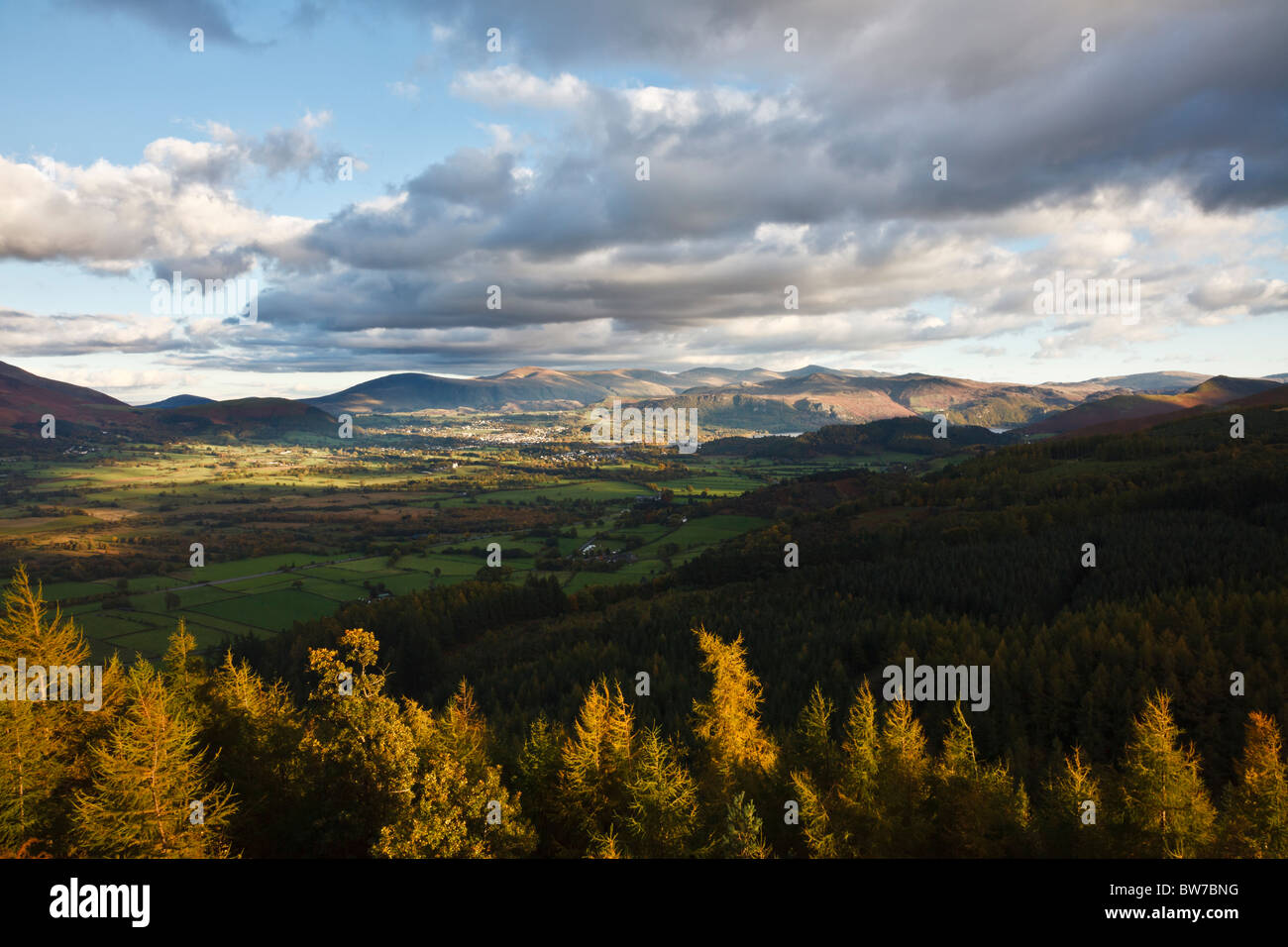 Whinlatter mountain forest hi-res stock photography and images - Alamy