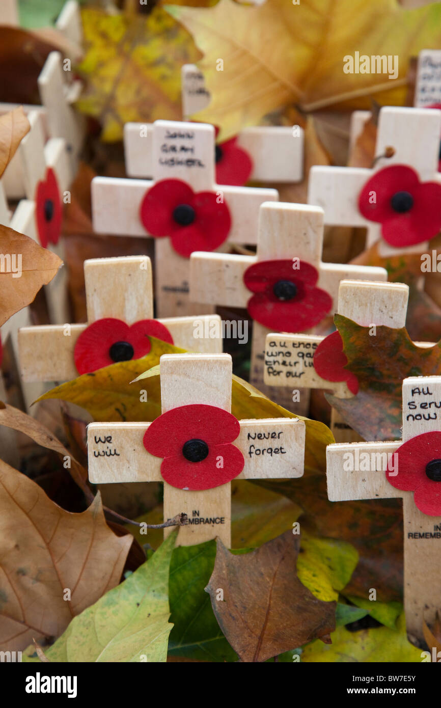 LONDON, ENGLAND - Poppies and Crosses on Field of Remembrance at ...