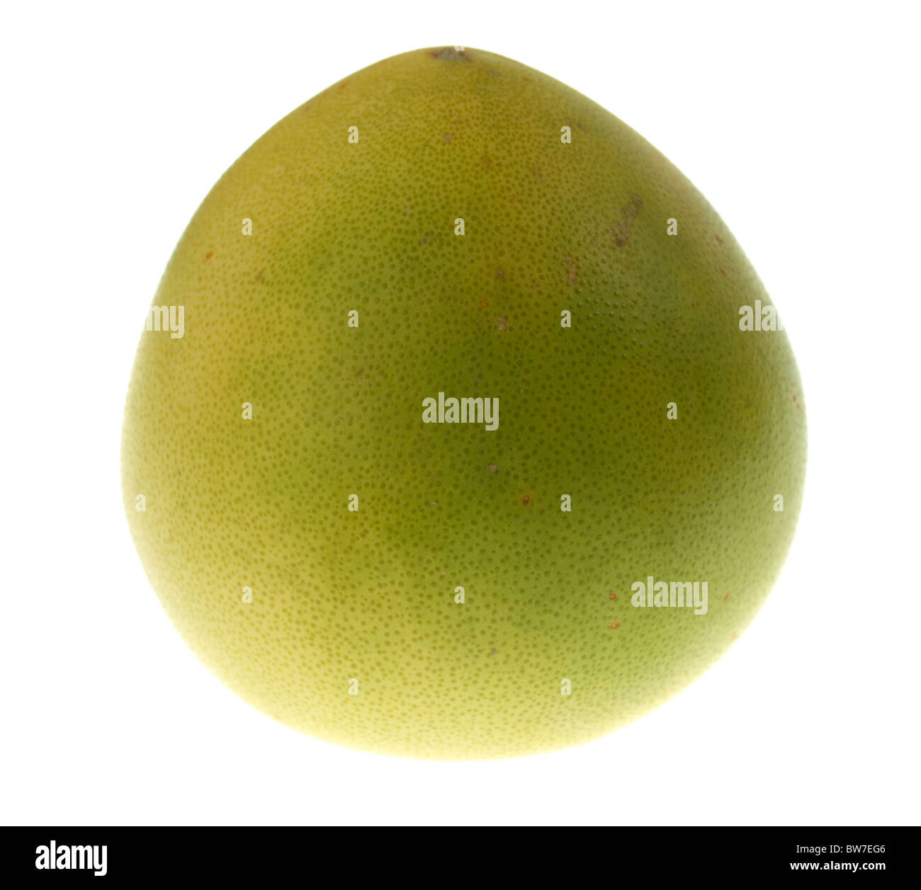 honey pomelo citrus maxima fruit on white background Stock Photo - Alamy