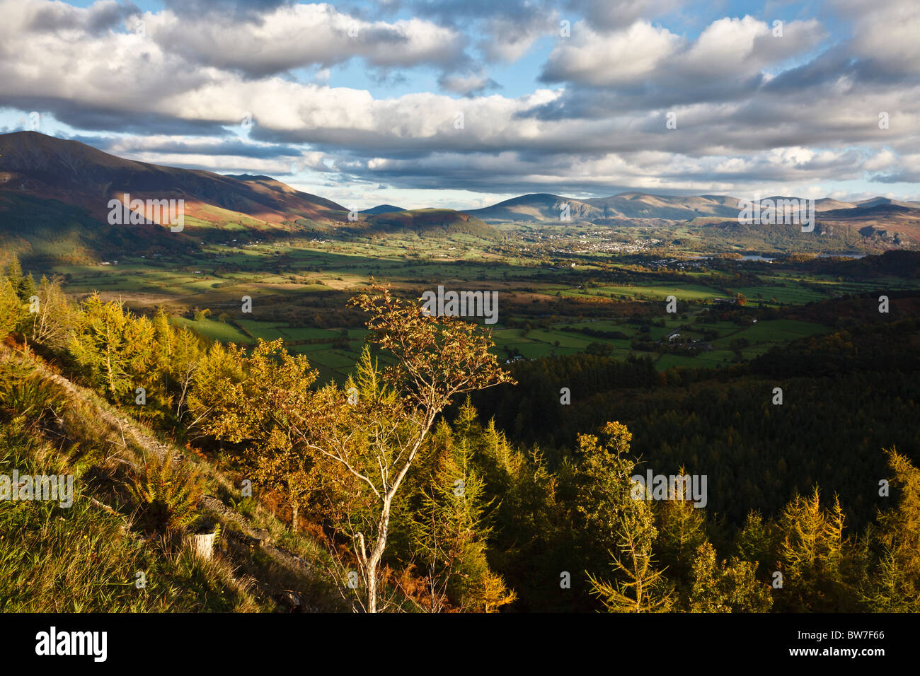 View towards Keswick and Derwent Water from Whinlatter Forest Park ...