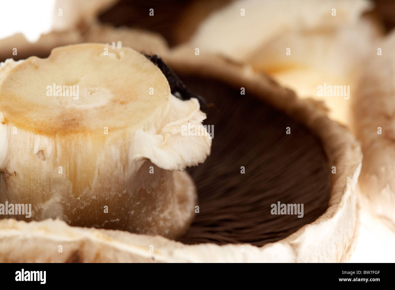 Irish mushrooms hi-res stock photography and images - Alamy