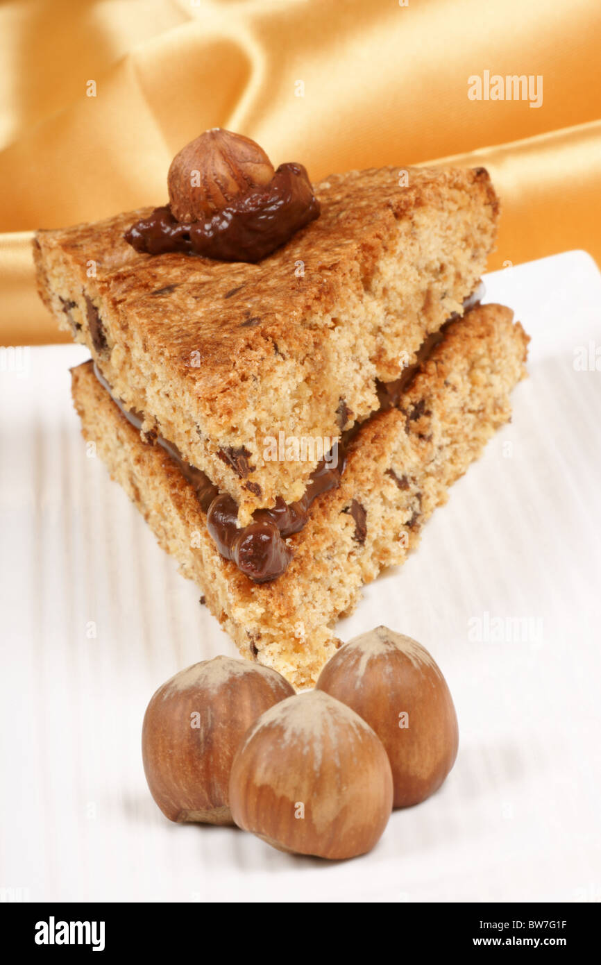 Hazelnut and chocolate cake served on a white dish over a yellow ...