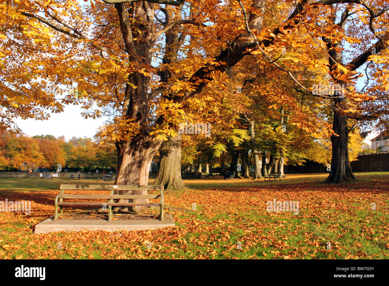 Park bench shot around the Autumn fall Stock Photo - Alamy
