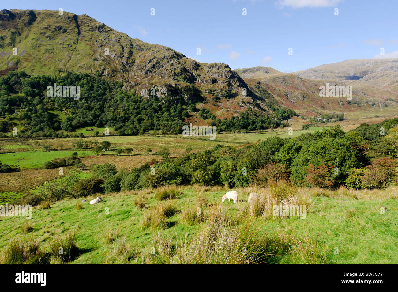 View of Gallt y Wenallt in Snowdonia National Park Gwynedd North Wales ...