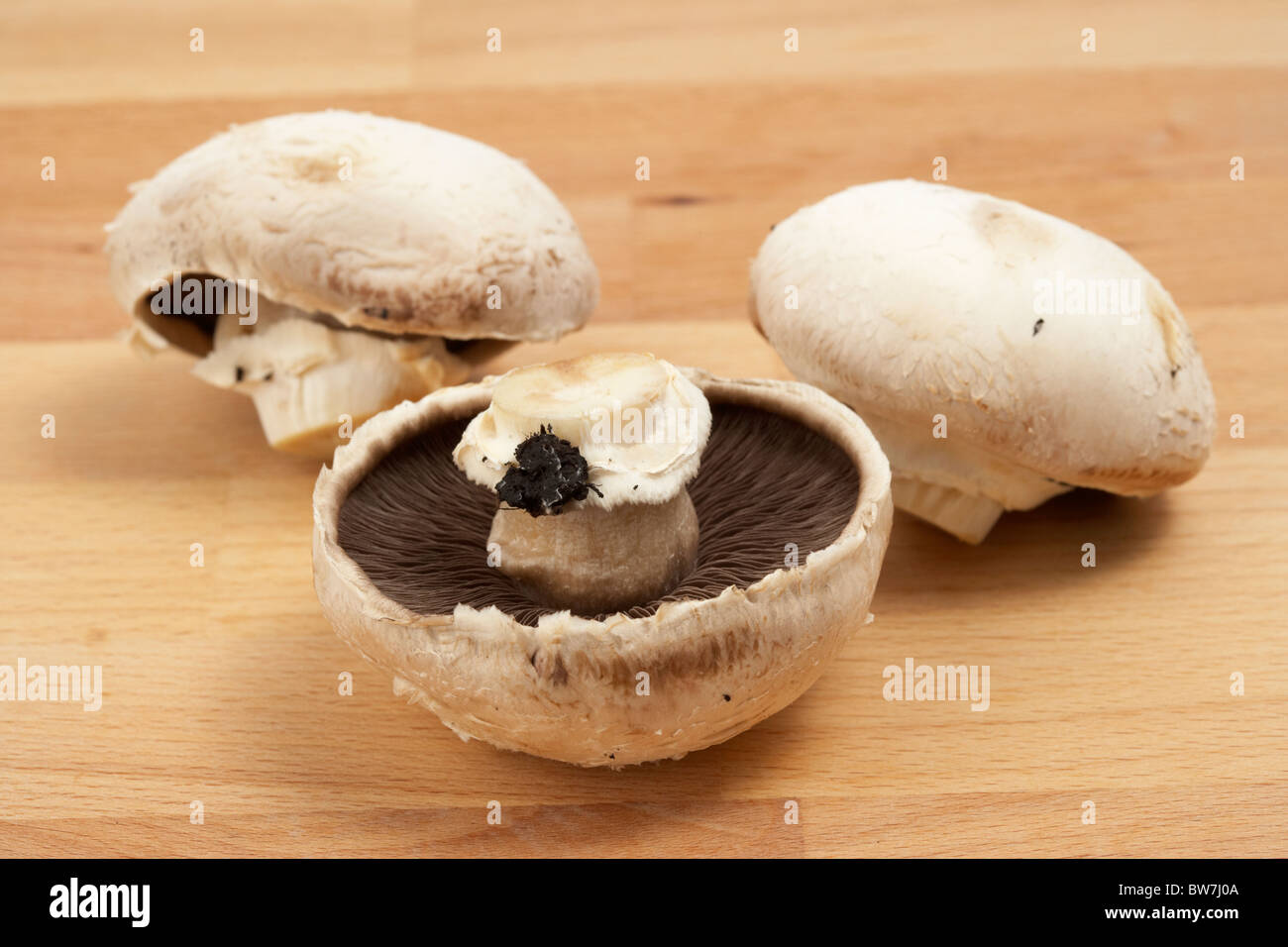 Flat mushrooms hi-res stock photography and images - Alamy