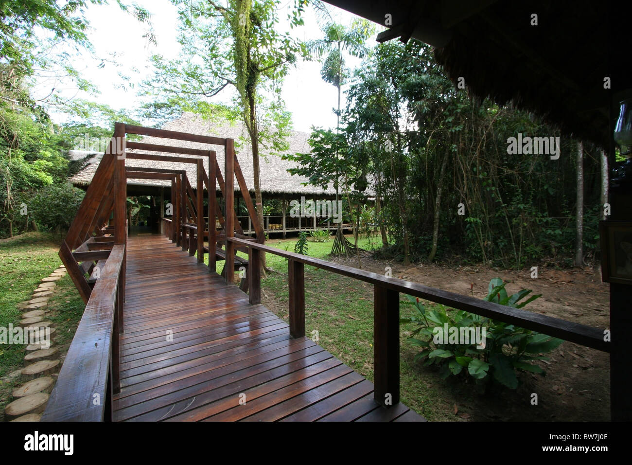 Wooden walkway Posada Amazonas, Tambopata National Reserve, Amazon ...
