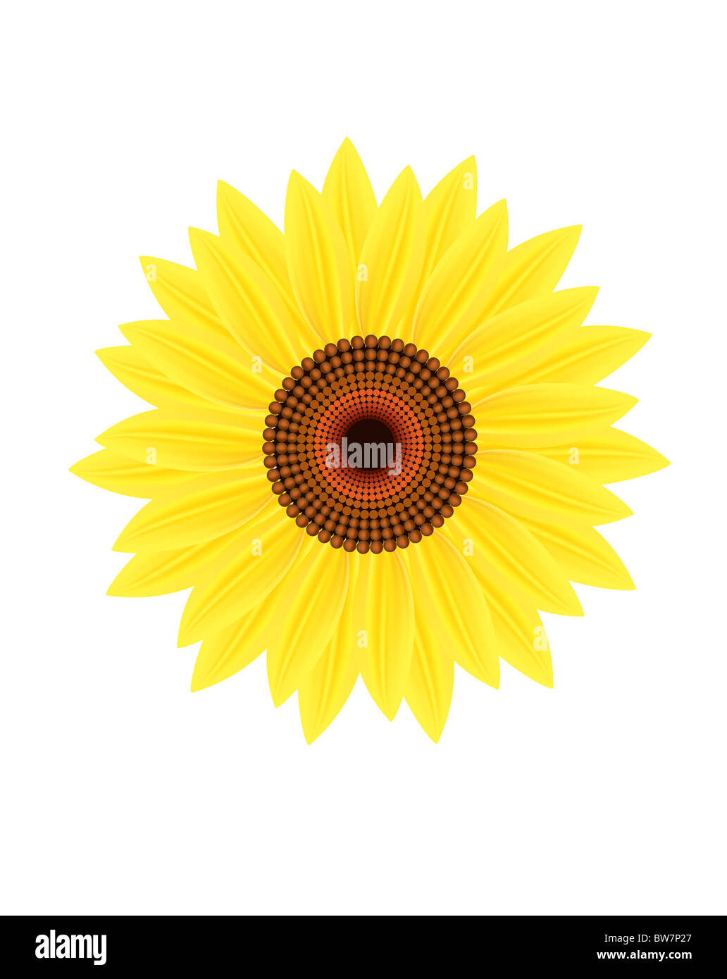 Vibrant flower shop Cut Out Stock Images & Pictures - Alamy