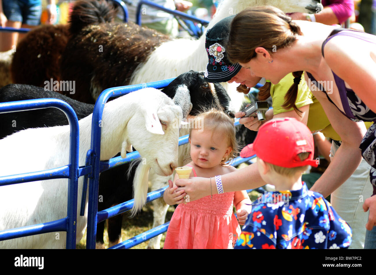 Children feeding goats hi-res stock photography and images - Alamy