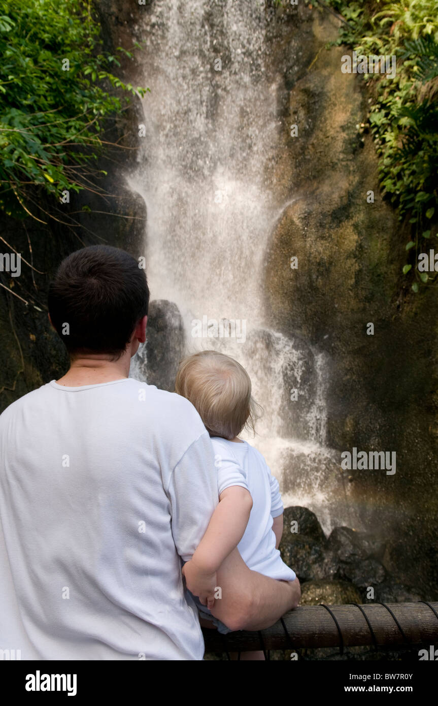 Back view of a baby and father looking at a waterfall Stock Photo - Alamy