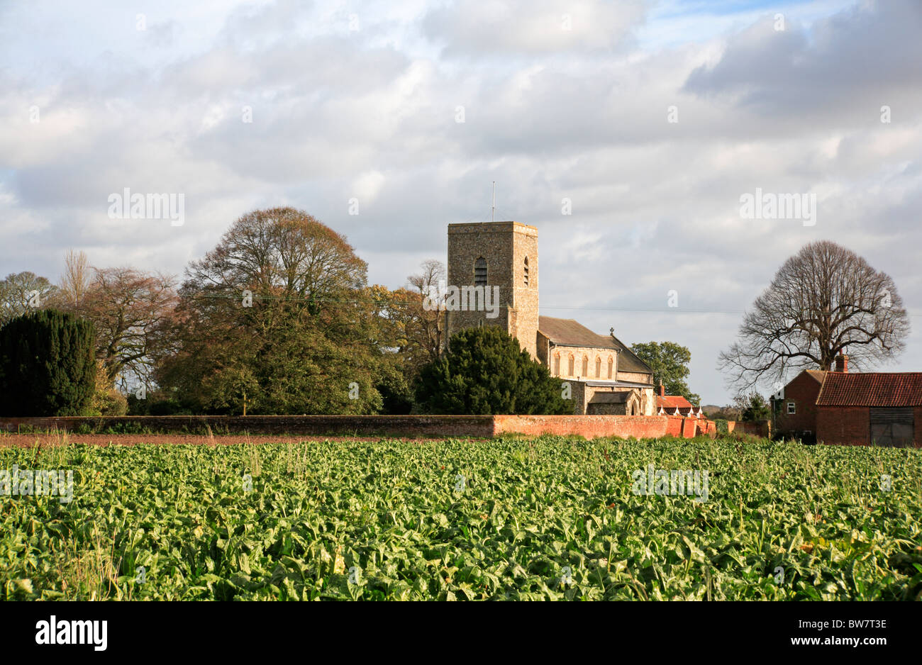 A rural scene featuring the Church of All Saints at Marsham, Norfolk ...