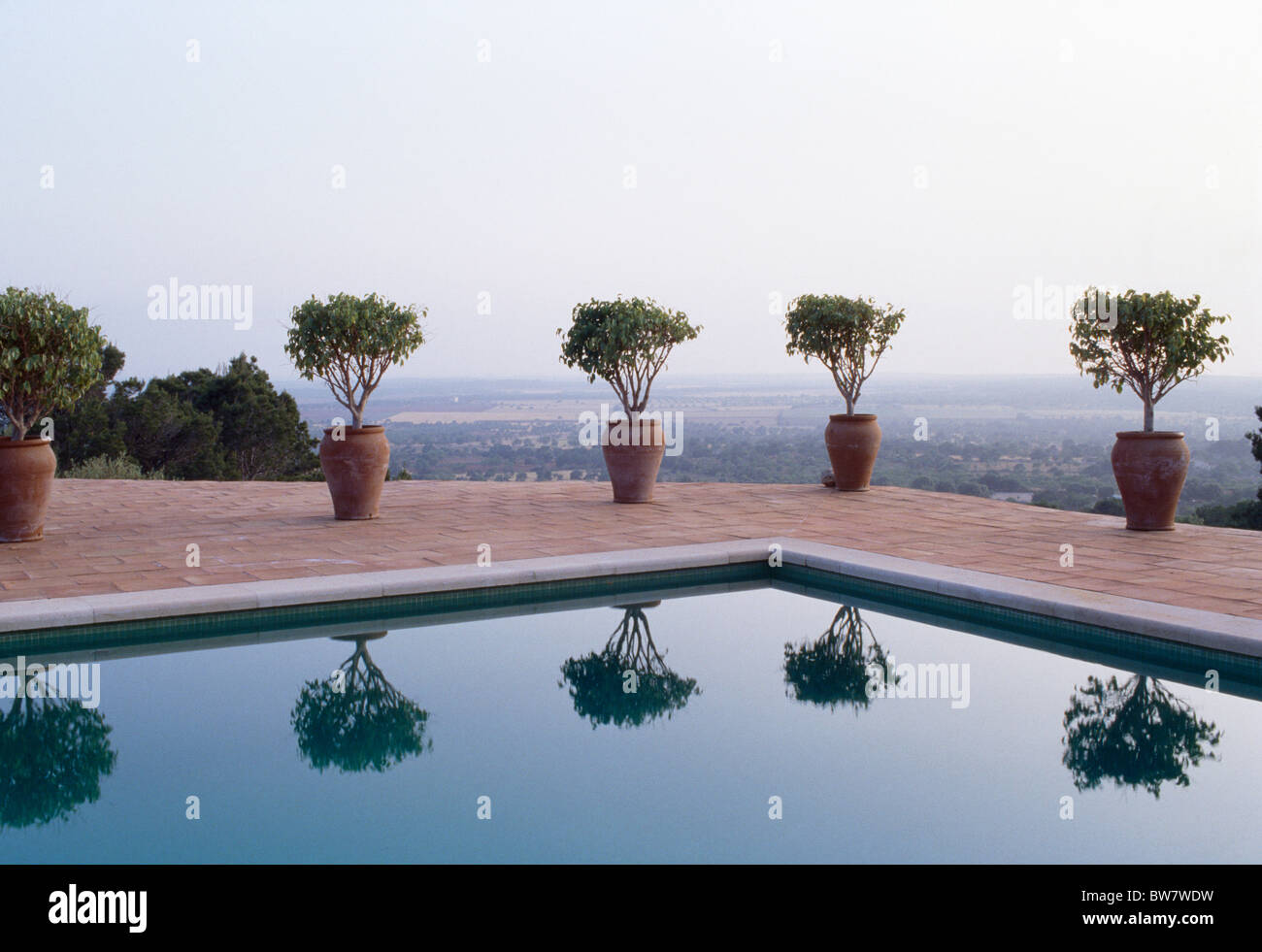 Clipped trees in large terracotta pots beside swimming pool with view ...