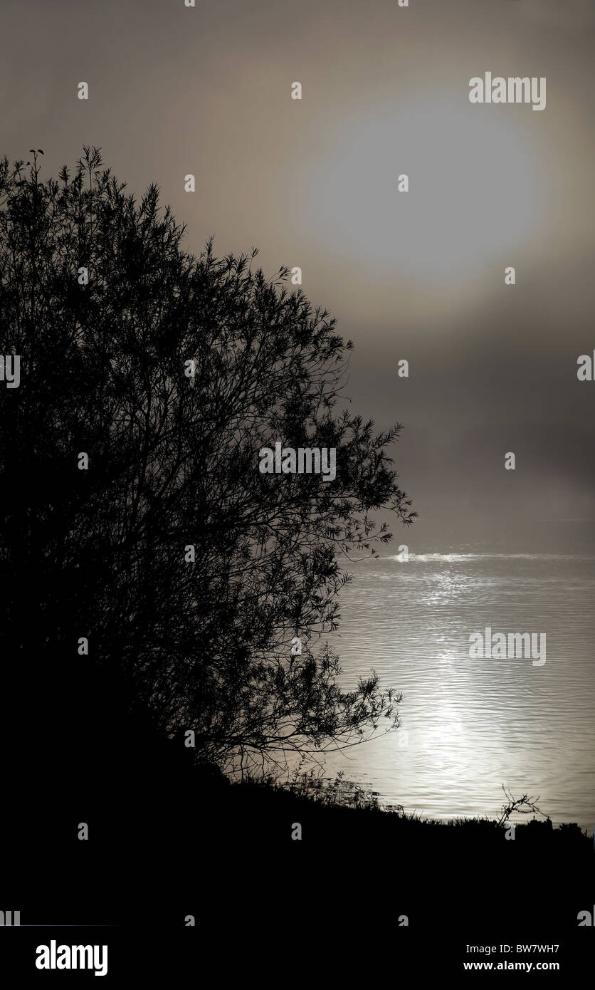 Moonlight on water hi-res stock photography and images - Alamy