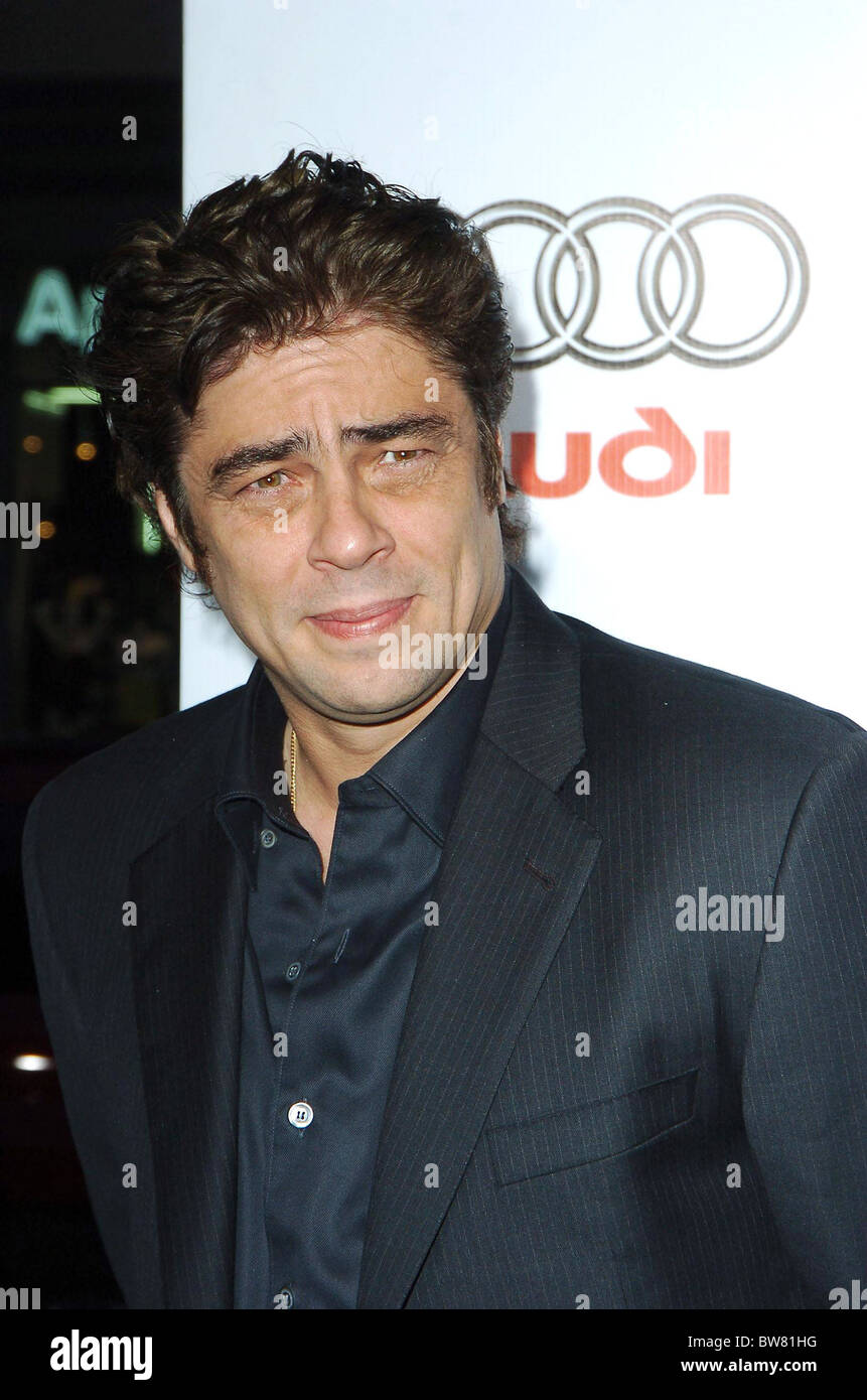 AFI FEST 2008 Screening of CHE Stock Photo - Alamy