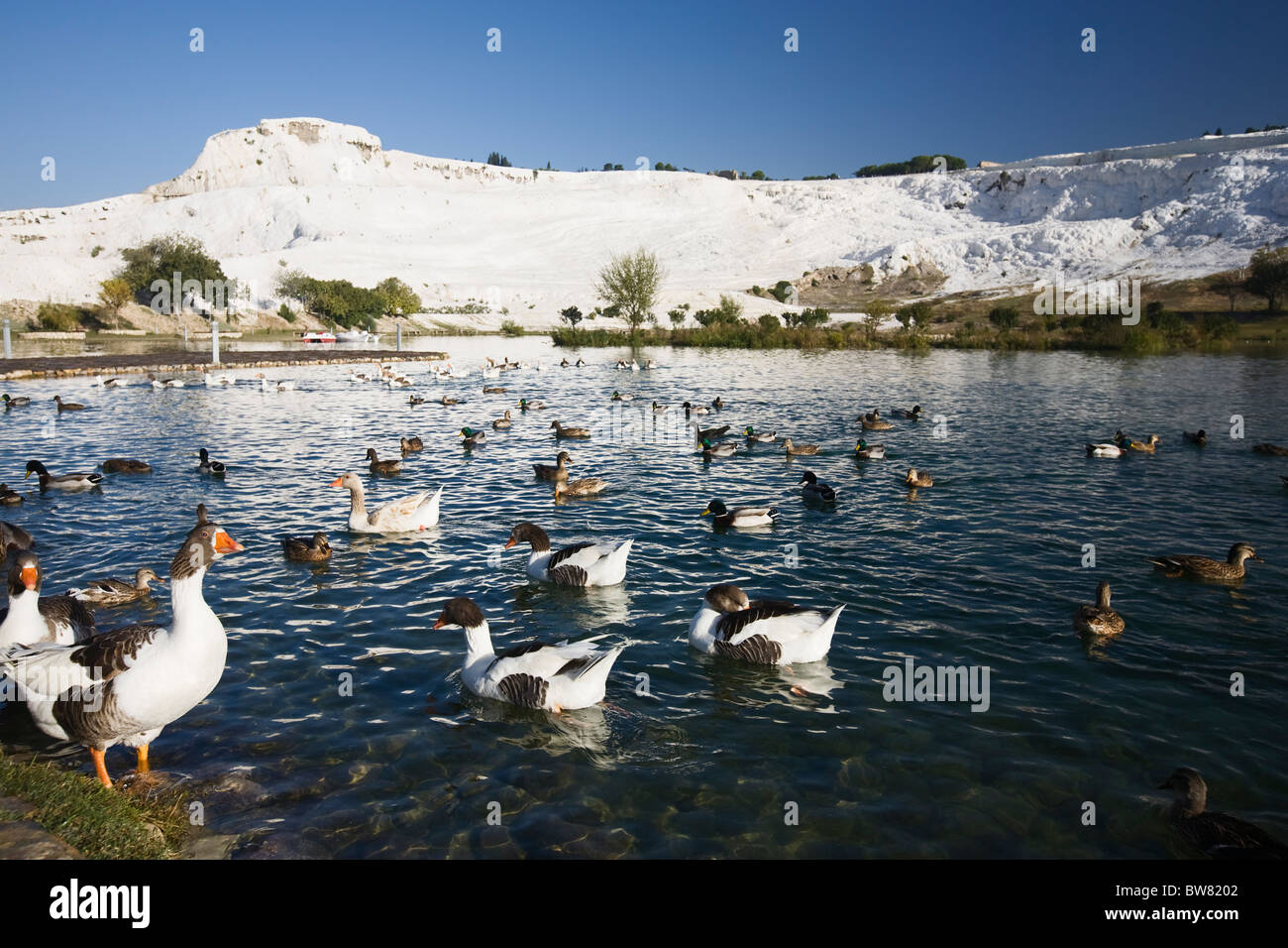 Calcified Water At Pamukkale High Resolution Stock Photography and ...