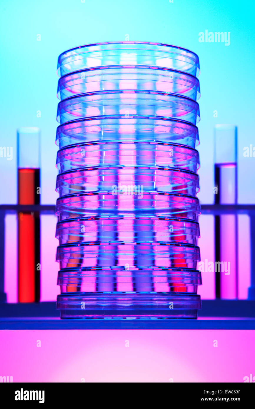 Stack of petri dishes in front of test tubes Stock Photo - Alamy