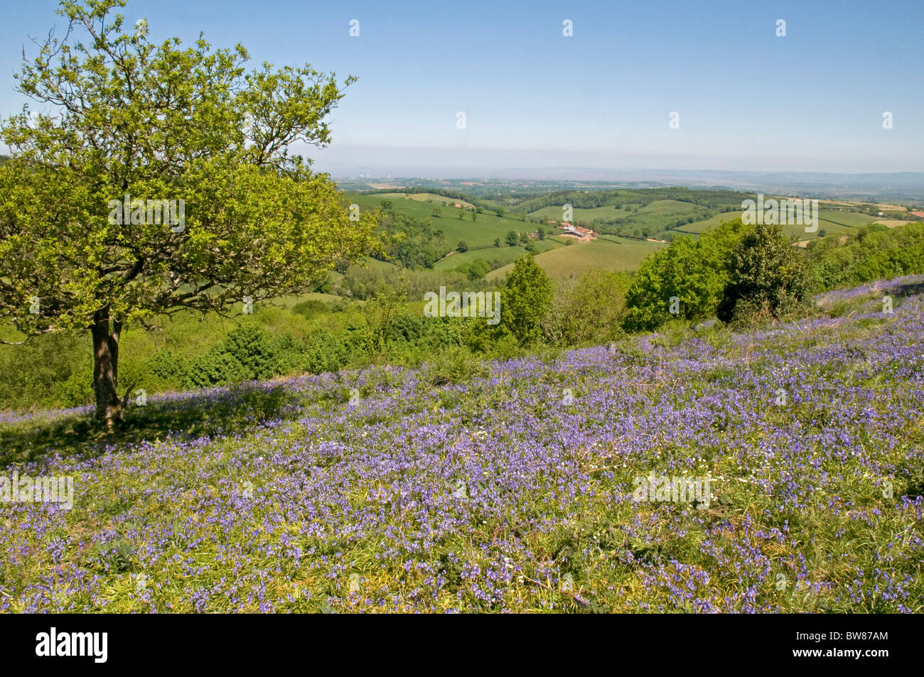 The quantock hills hi-res stock photography and images - Alamy