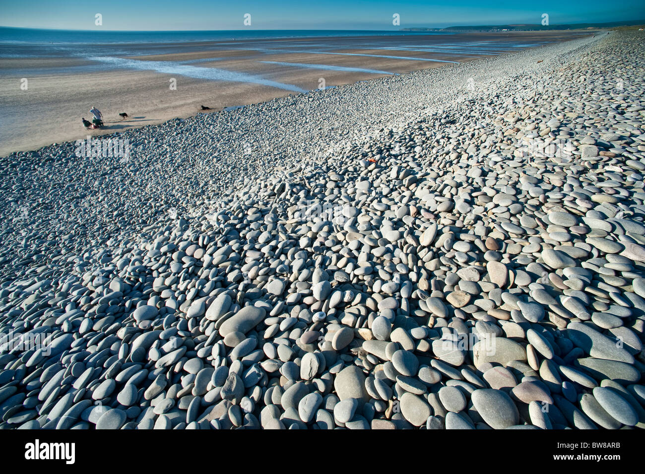 Pebble Ridge on the coastline at Westward Ho! Devon UK Stock Photo - Alamy