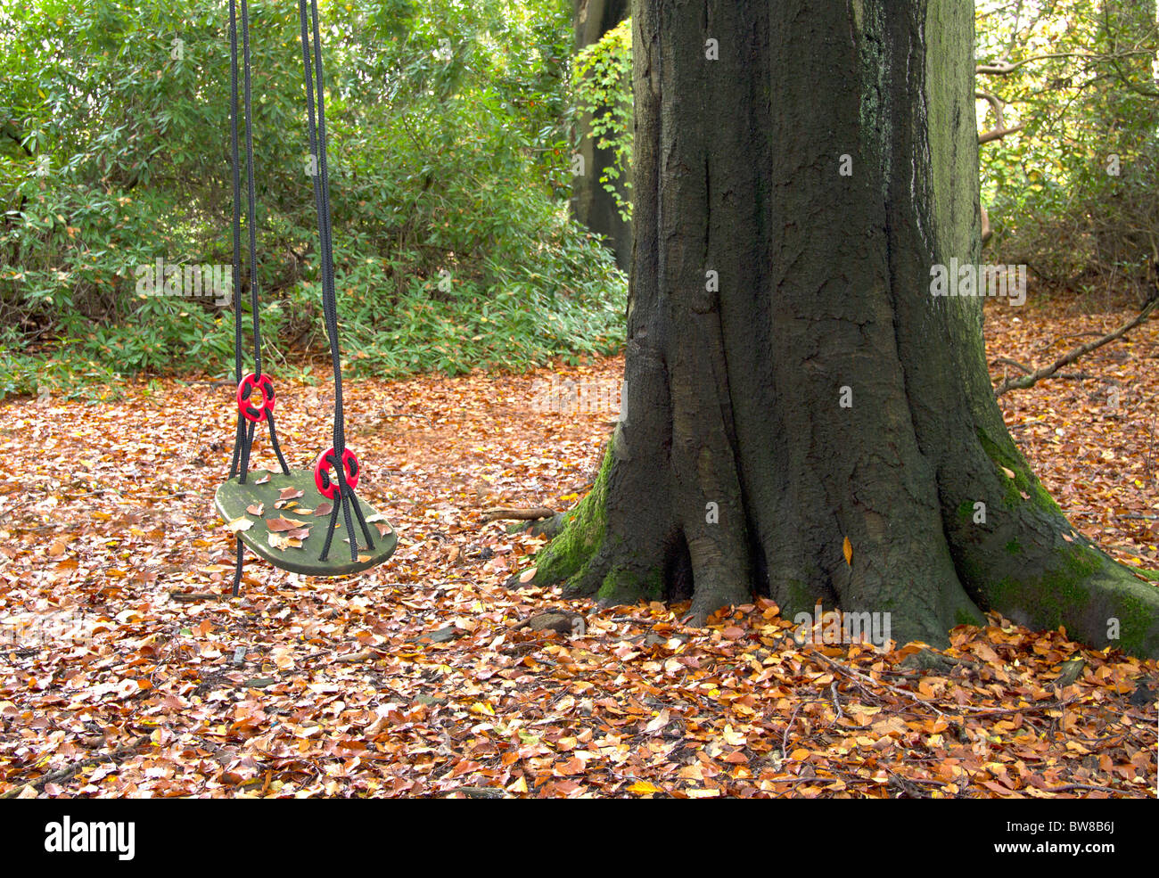 Rope swing hi-res stock photography and images - Alamy