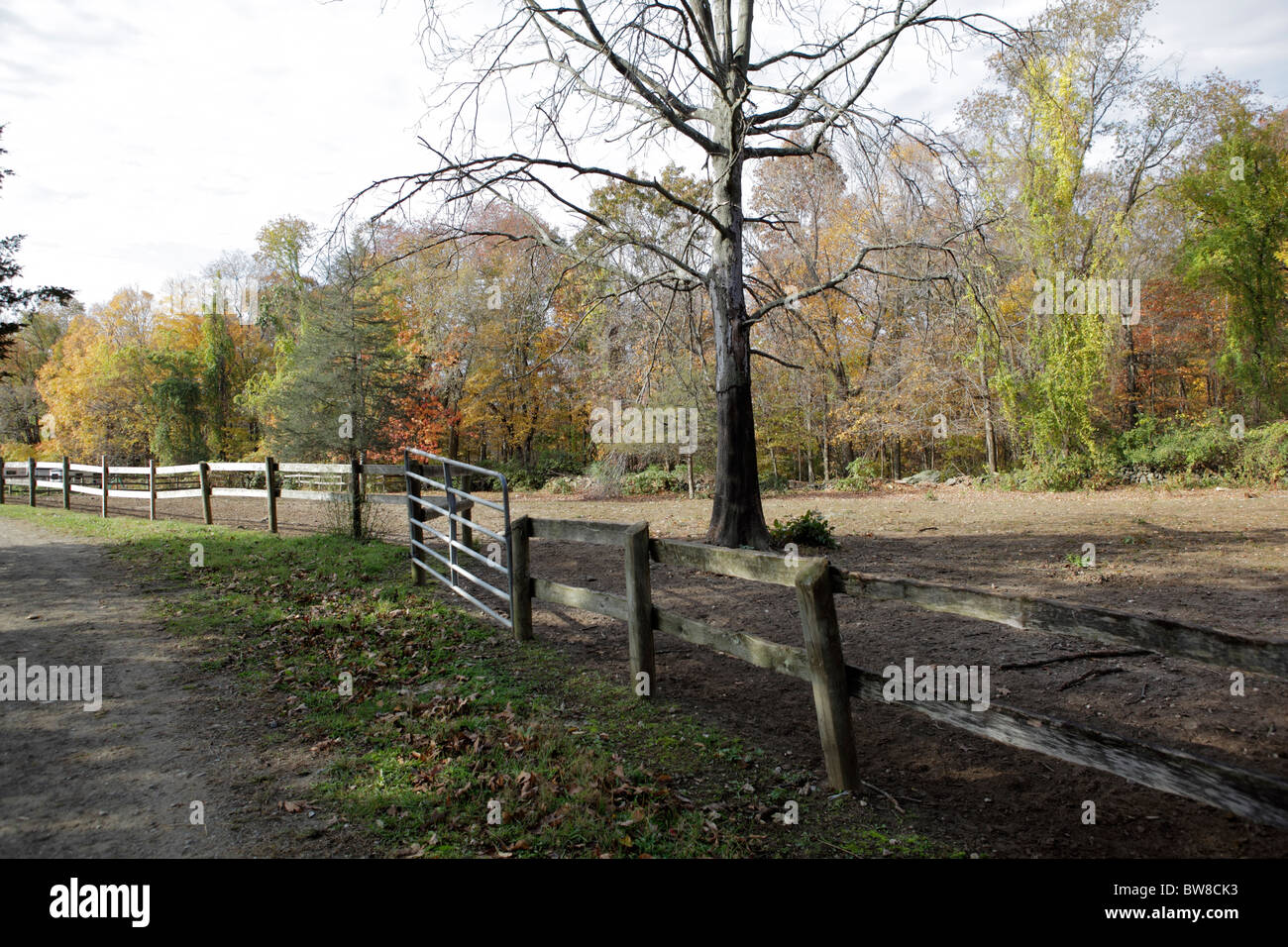 Season Paddock Landscape High Resolution Stock Photography and Images ...