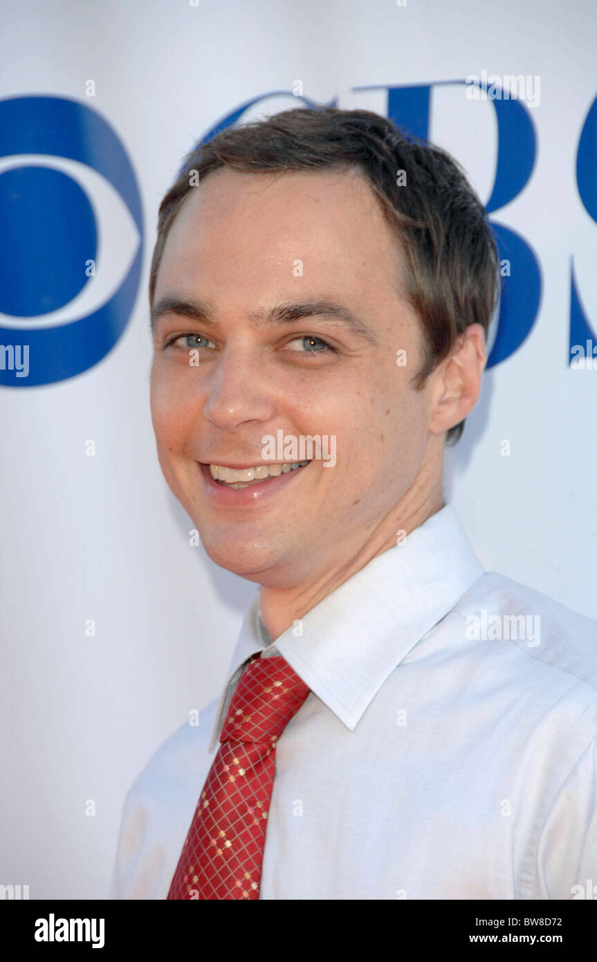 CBS Summer 2007 TCA Press Tour Party Stock Photo - Alamy