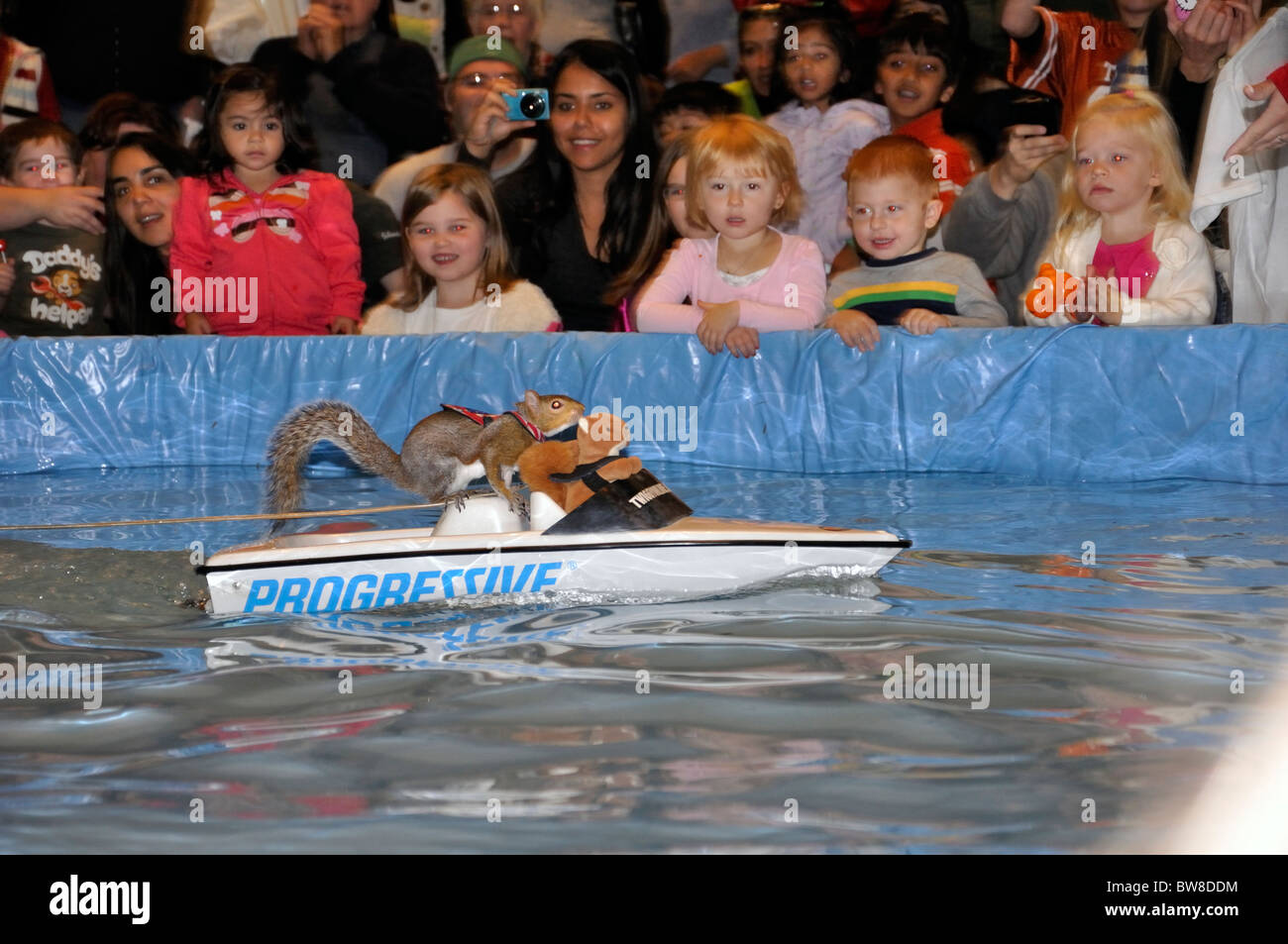 Twiggy the water skiing squirrel Stock Photo - Alamy